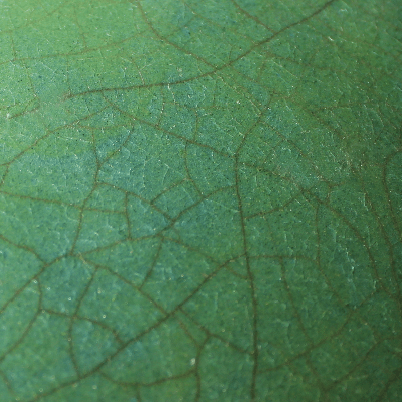 Vitraglaze Raku Glaze: Amazon Green – Hot Clay