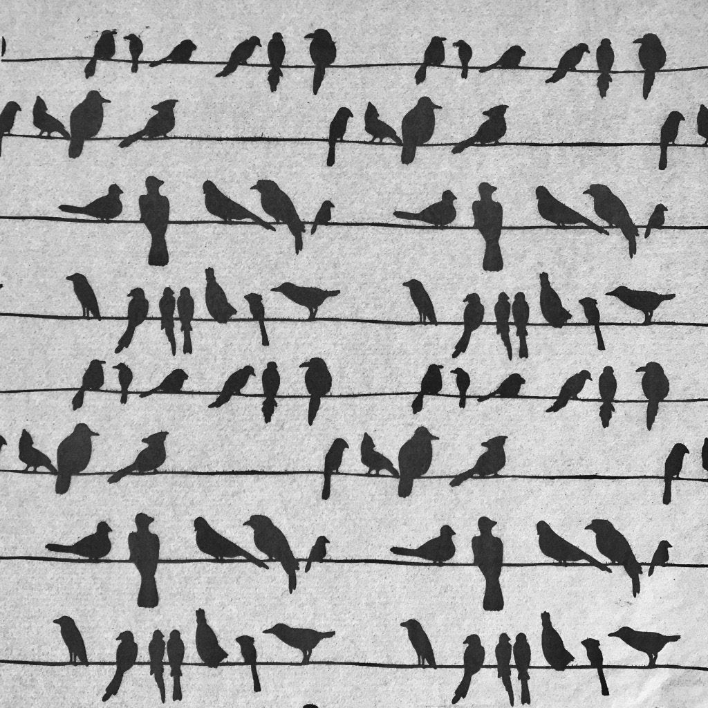 Birds on a wire Underglaze Transfer Sheet - Black – Hot Clay