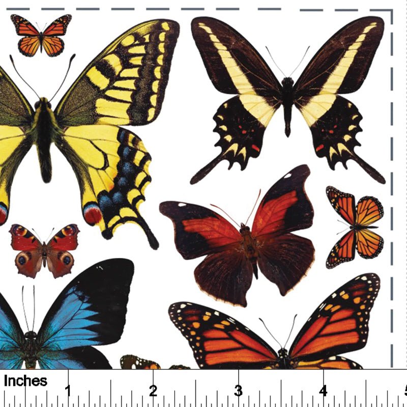 Butterflies From Photo Overglaze Decal Sheet – Hot Clay